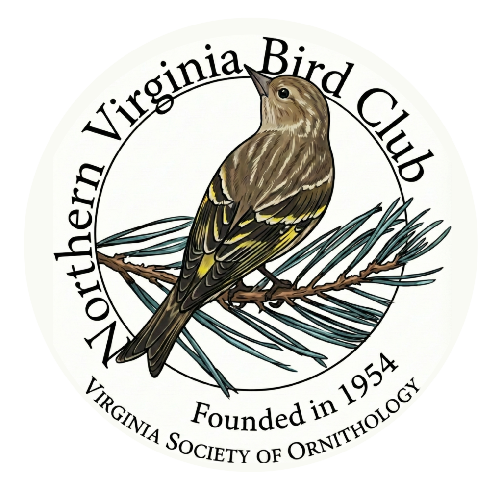 Northern Virginia Bird Club – Watch – Study – Enjoy – Understand – Conserve